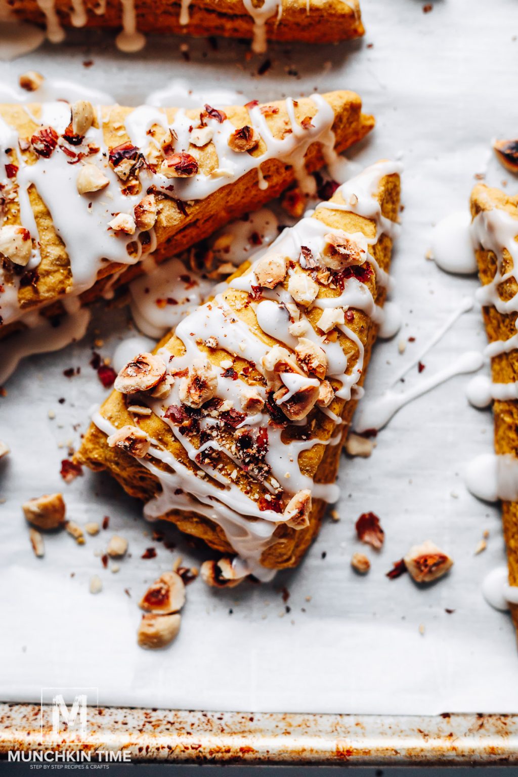 Munchkin Time - Step by Step Recipes, Munchkin Crafts and DIY Projects