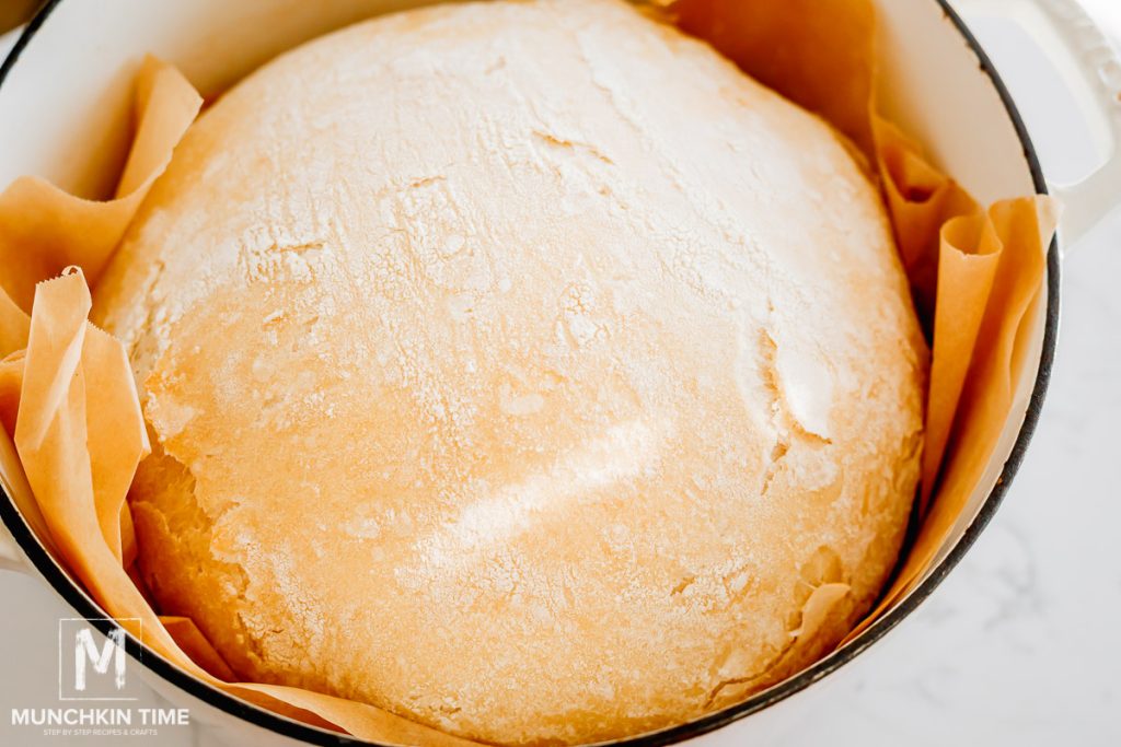 Best No Knead Bread Recipe - Munchkin Time