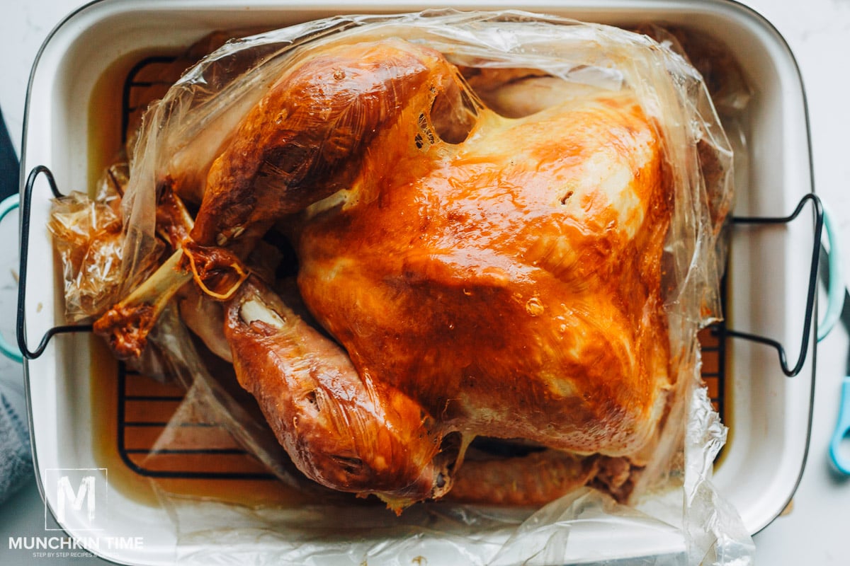 How to Cook a Turkey in a Bag: Juicy Turkey Every Time - Munchkin Time