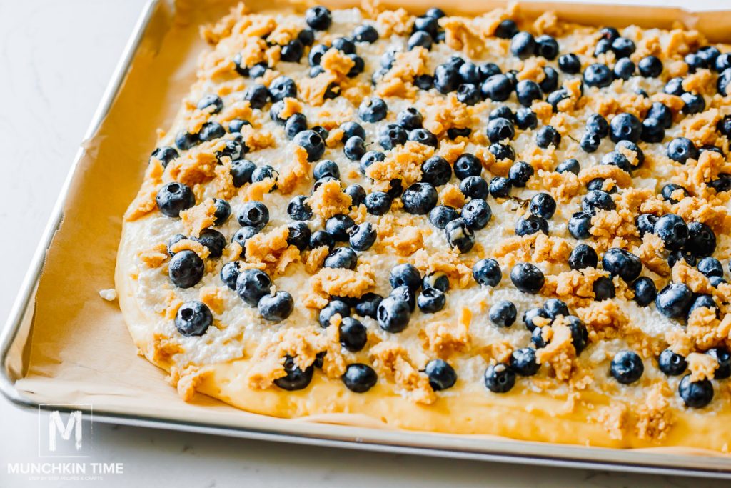 The Best Blueberry Cake (Video) - Munchkin Time