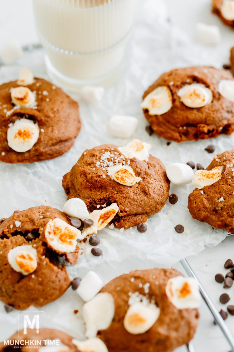 Chocolate Marshmallow Cookies - Munchkin Time