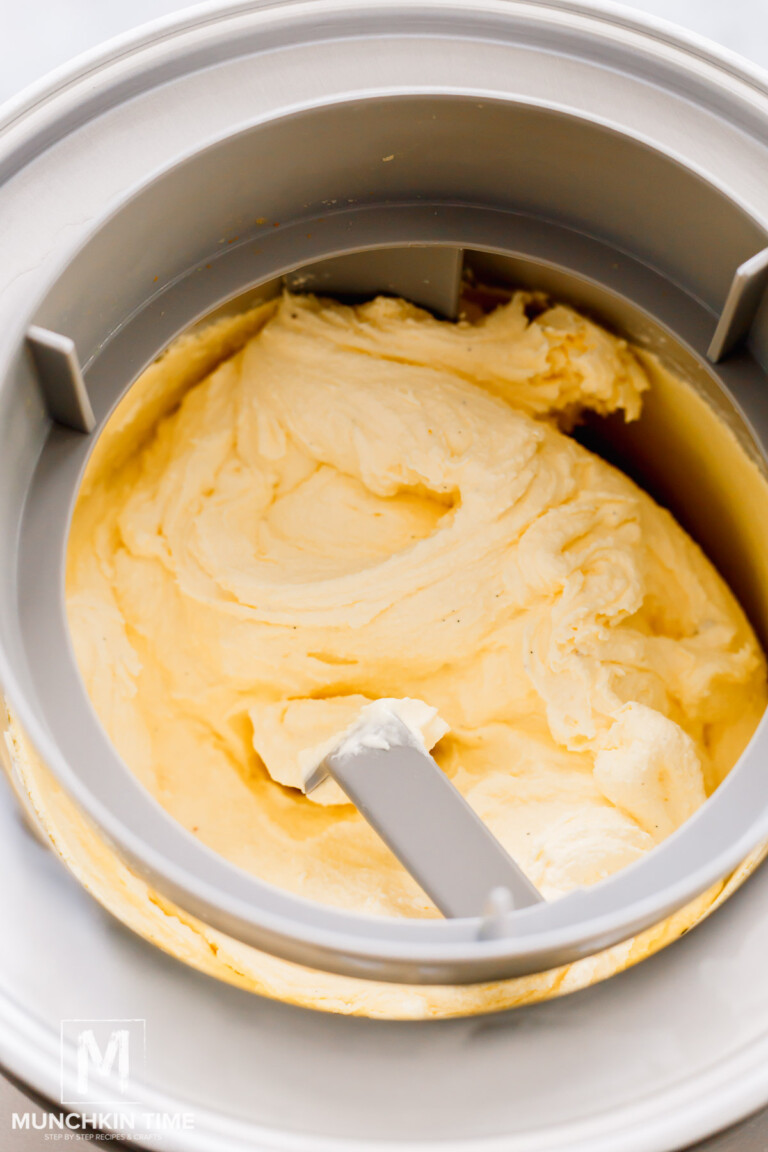 Vanilla Bean Ice Cream: How to Make It at Home - Munchkin Time