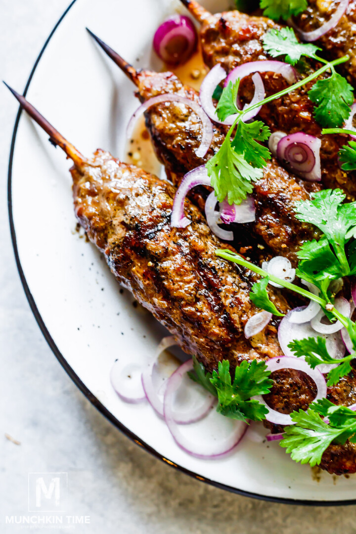 A Taste of Georgia: Ground Beef Kebab Recipe - Munchkin Time