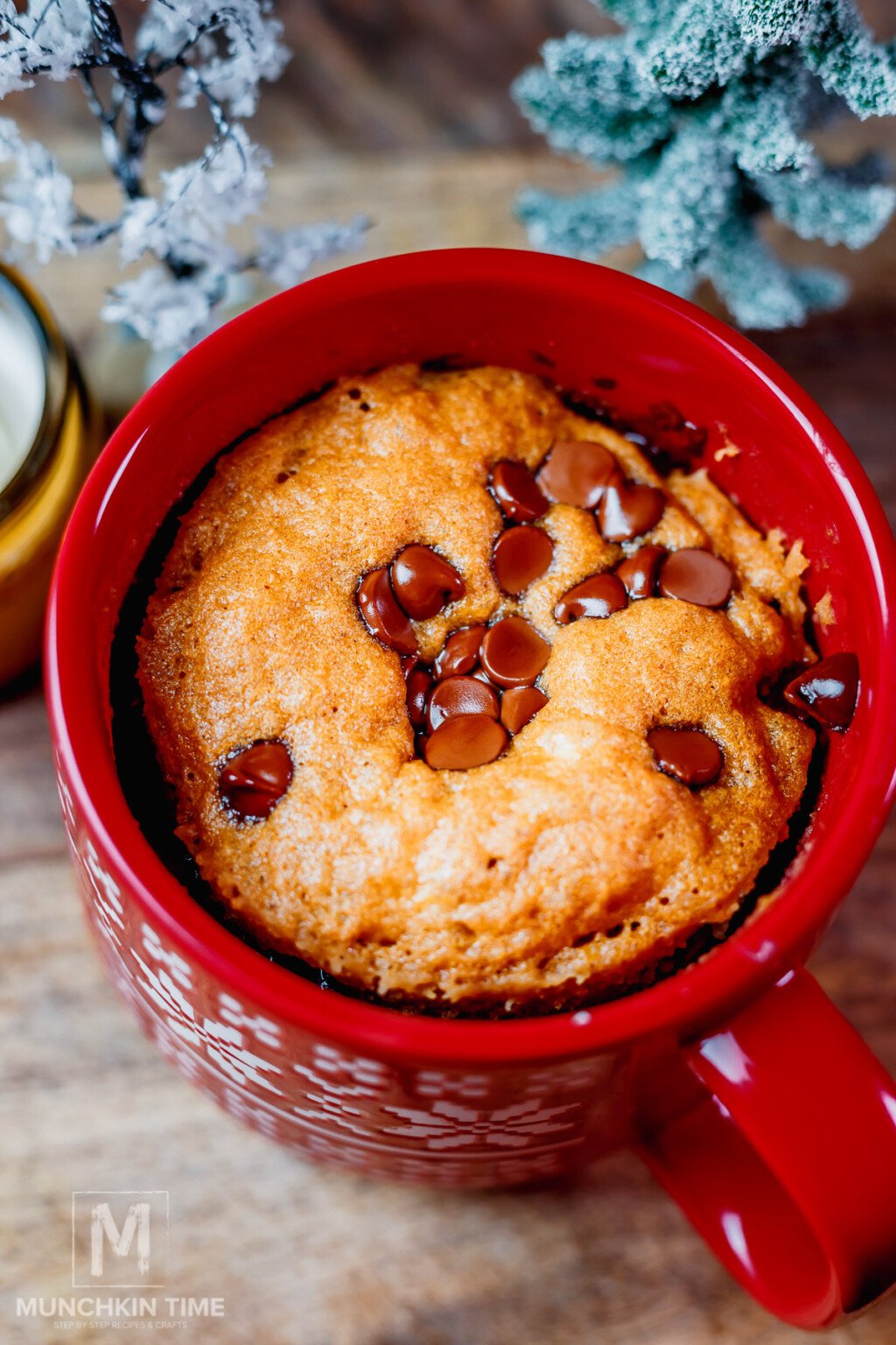 Easy Peanut Butter Mug Cake with Chocolate Chips (High Protein ...